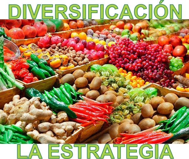 “Diversificación, la estrategia” - El Opinadero