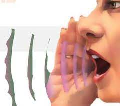 A propósito del Día Mundial de la Voz. - El Opinadero