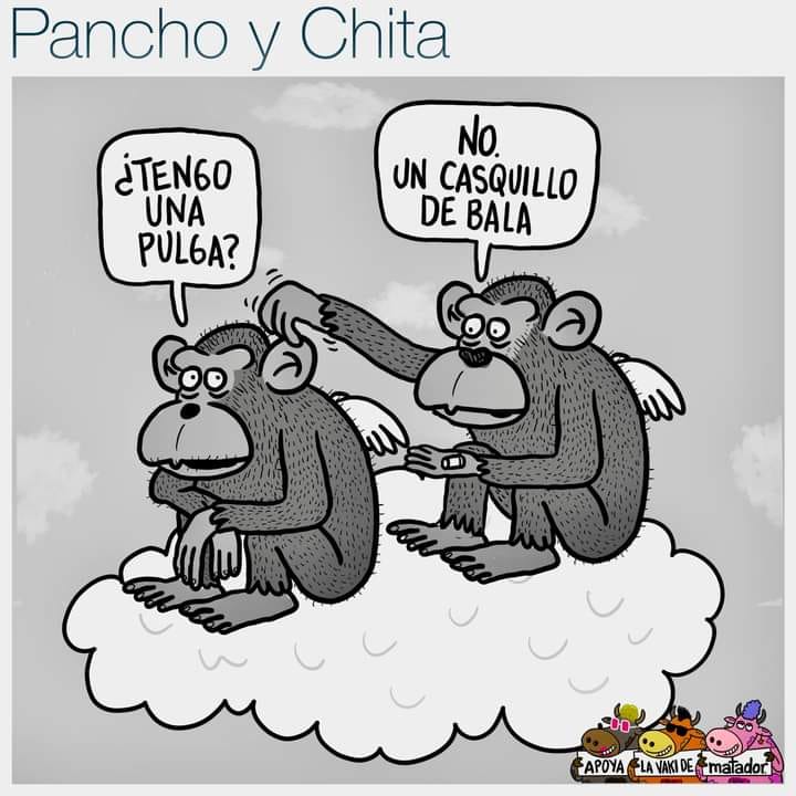 Pancho y Chita, un final infeliz - El Opinadero